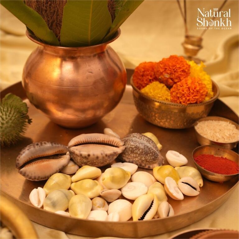 Fortune Kit (36 nos) - Kalari Warriors